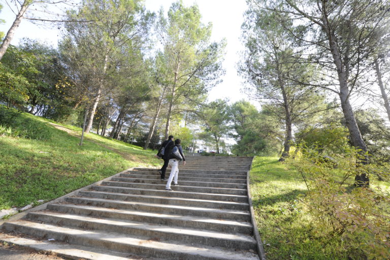 L'IUT en images - IUT Montpellier - Sète