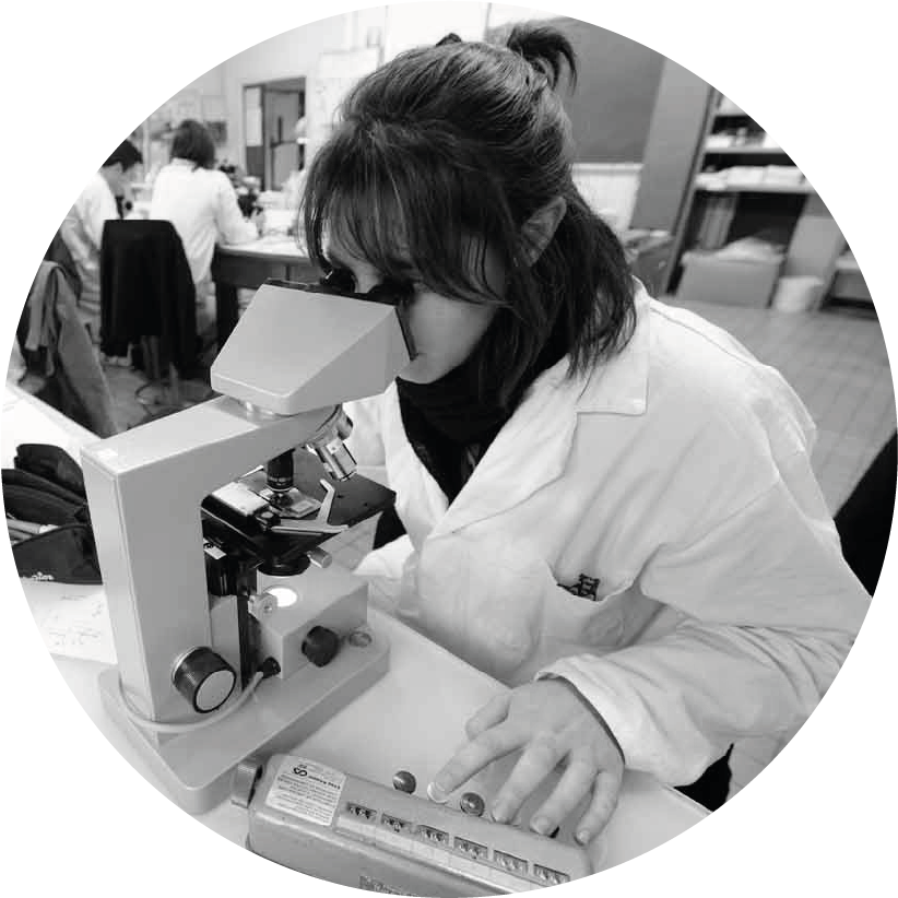 Biological Engineering - IUT Montpellier - Sète