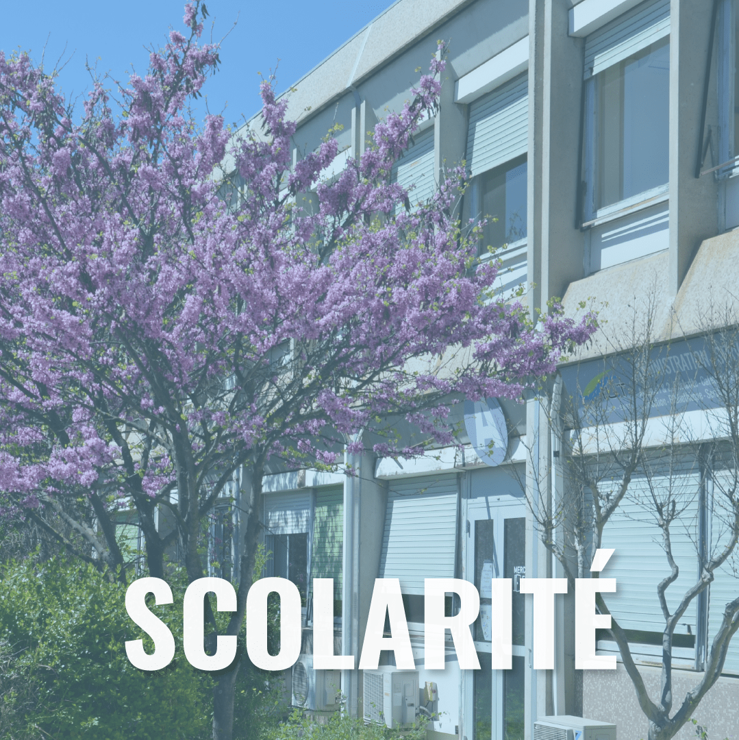 Formations - IUT Montpellier - Sète